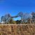 Metal Elephant Sculpture | Garden Stainless Steel Elephant Statue